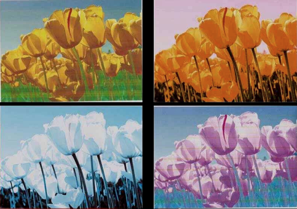 Top 5 Common Printer Problems & How to Fix Them - ACT Antigua